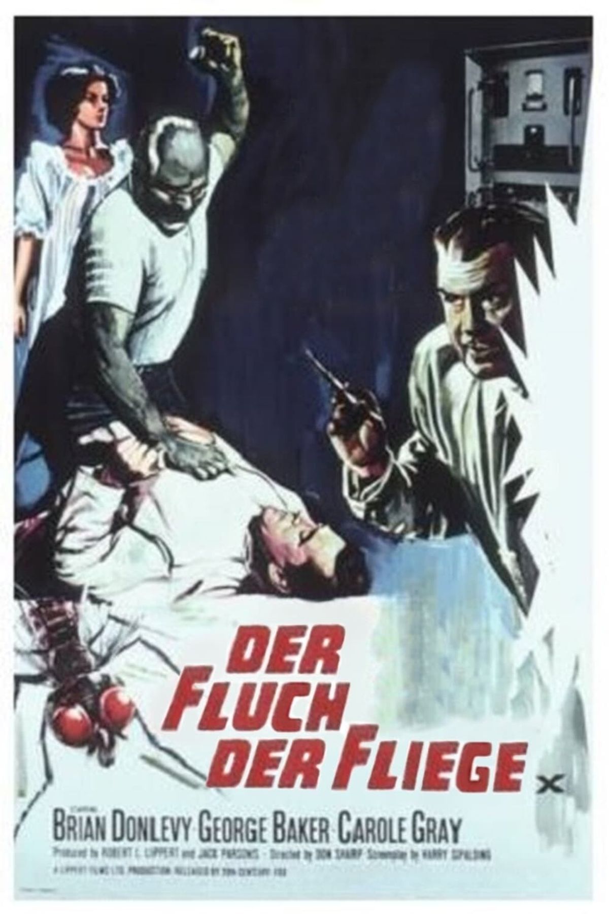 Der Fluch der Fliege (2013) Film-information und Trailer | KinoCheck