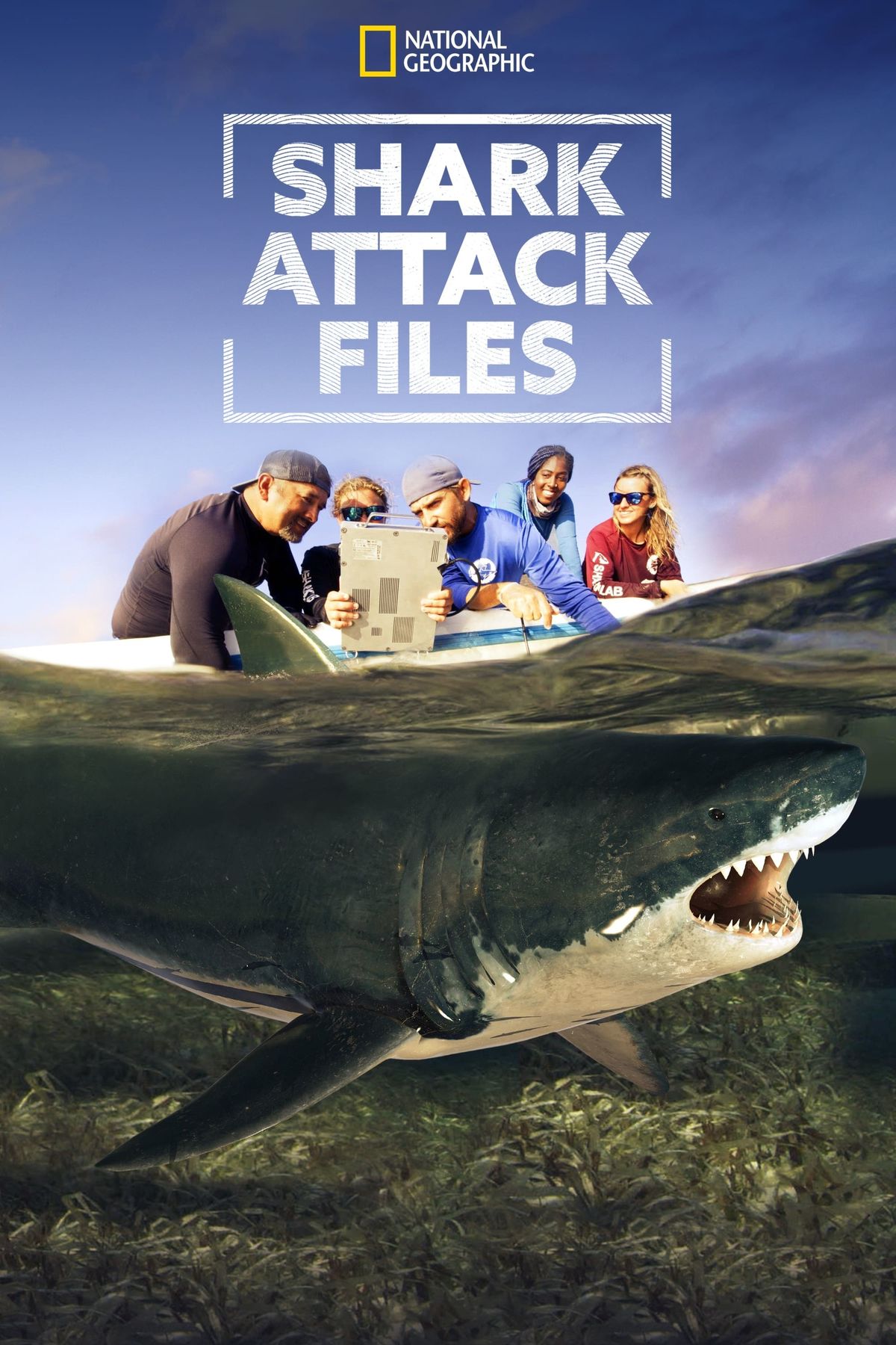 Akte Hai – Dem Raubtier auf der SpurShark Attack Files Serien ...