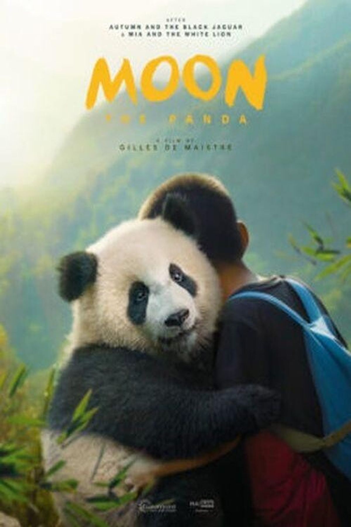 Moon, der Panda (2025) Film-information und Trailer | KinoCheck