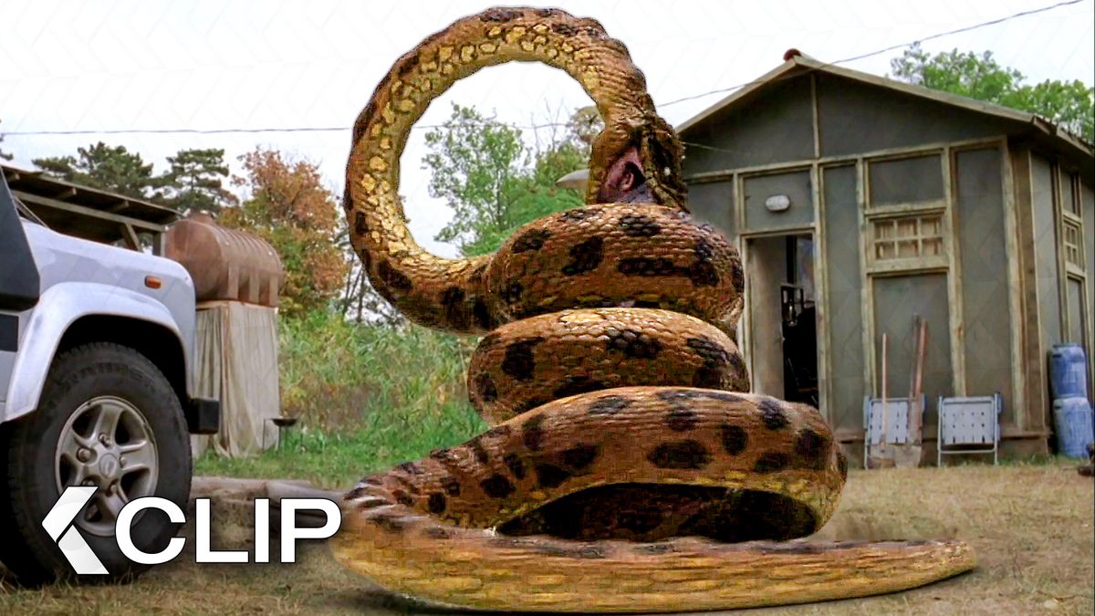 When the Monster Anaconda Holds it's Prey Tight - ANACONDAS: Trail of ...