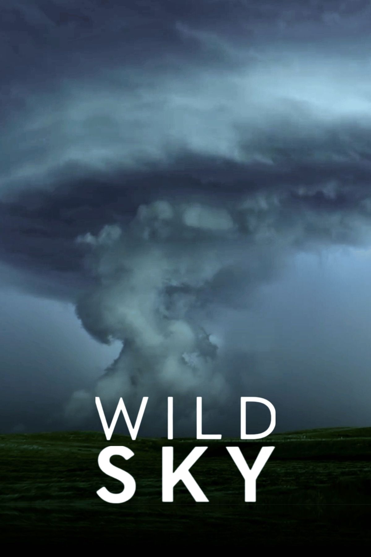 Wild Sky Serien-Information und Trailer | KinoCheck