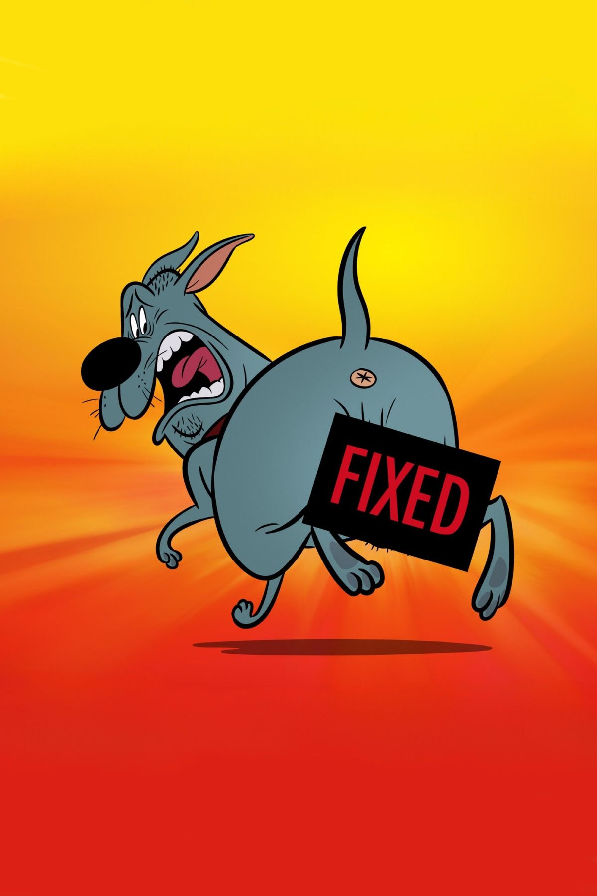 Fixed (2025) Film-information und Trailer | KinoCheck