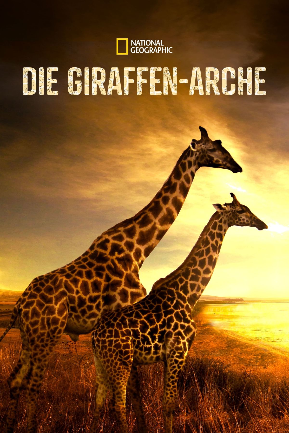 Die Giraffen-Arche (2023) Film-information und Trailer | KinoCheck