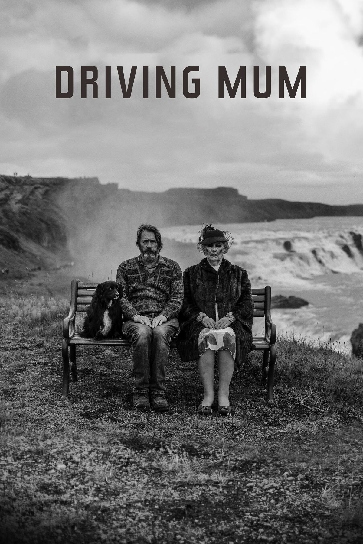 Driving Mom Film-information und Trailer | KinoCheck
