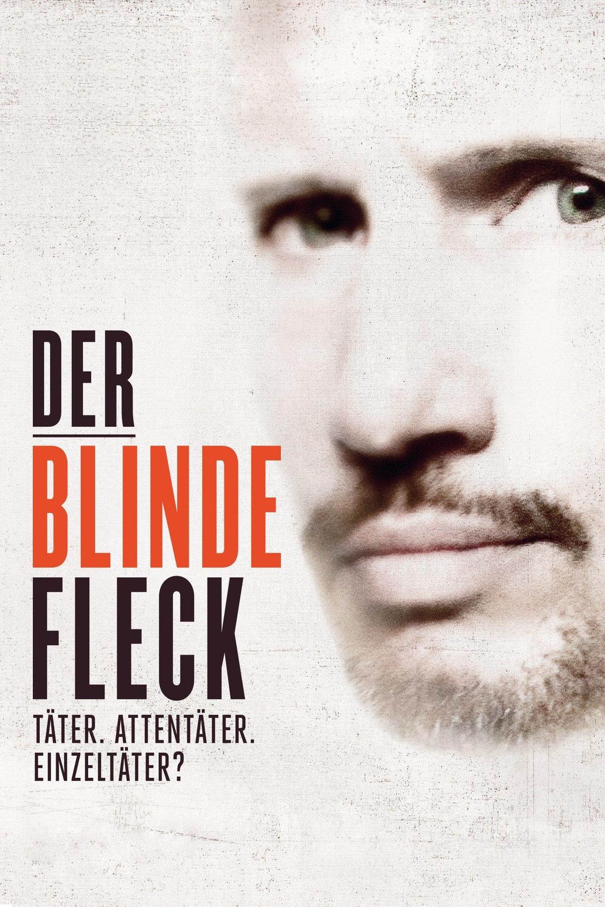 Der blinde Fleck (2013) Film-information und Trailer | KinoCheck