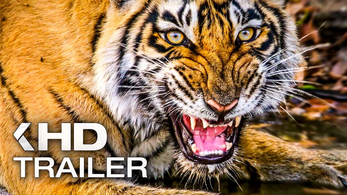 Tiger Trailer | KinoCheck