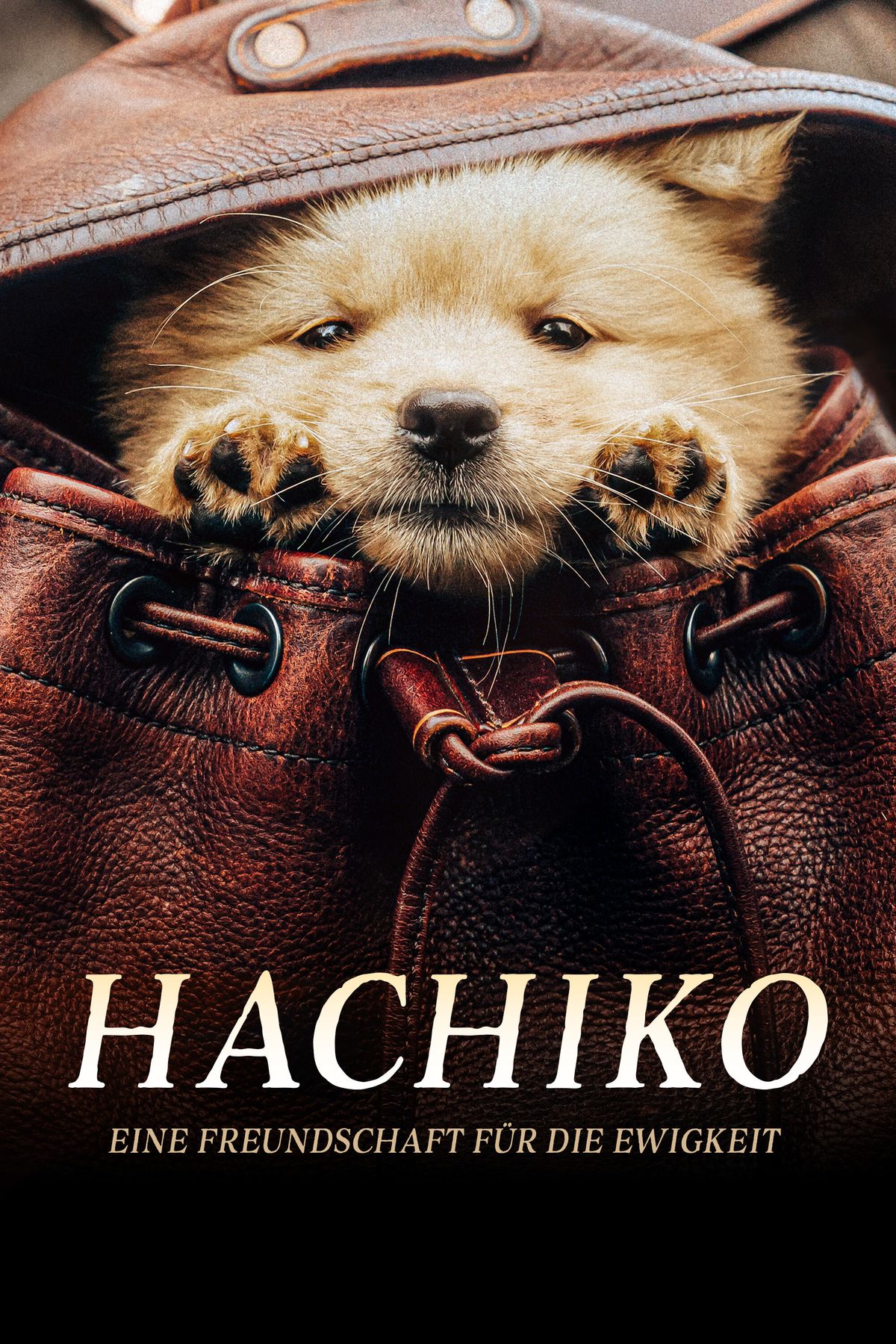 Hachiko: Eine Freundschaft für die Ewigkeit! (2024) Film-information ...