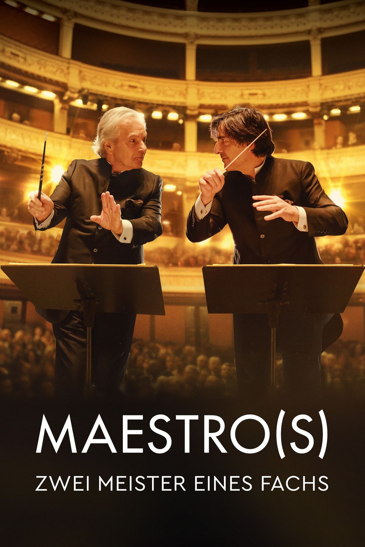 Maestro(s): Zwei Meister eines Fachs (2024) Film-information und ...